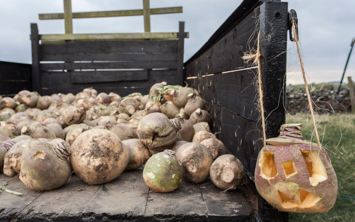 30 Quirky Facts About the Isle of Man - Visit Isle of Man