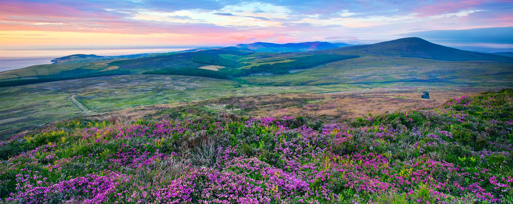 Welcome to Visit Isle of Man's Travel Trade hub - Visit Isle of Man ...