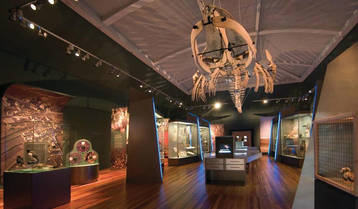 Manx Museum - Museum in Douglas, Douglas - Trade