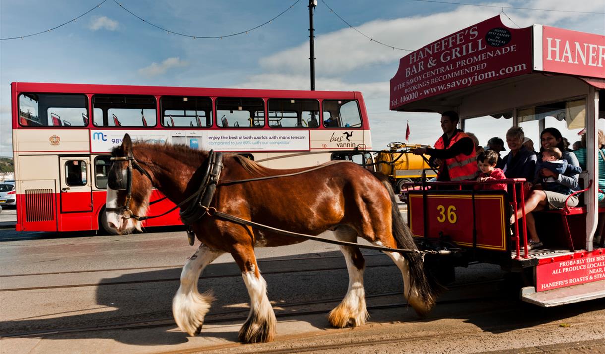 Douglas Bay Horse Tramway - Visit Isle of Man
